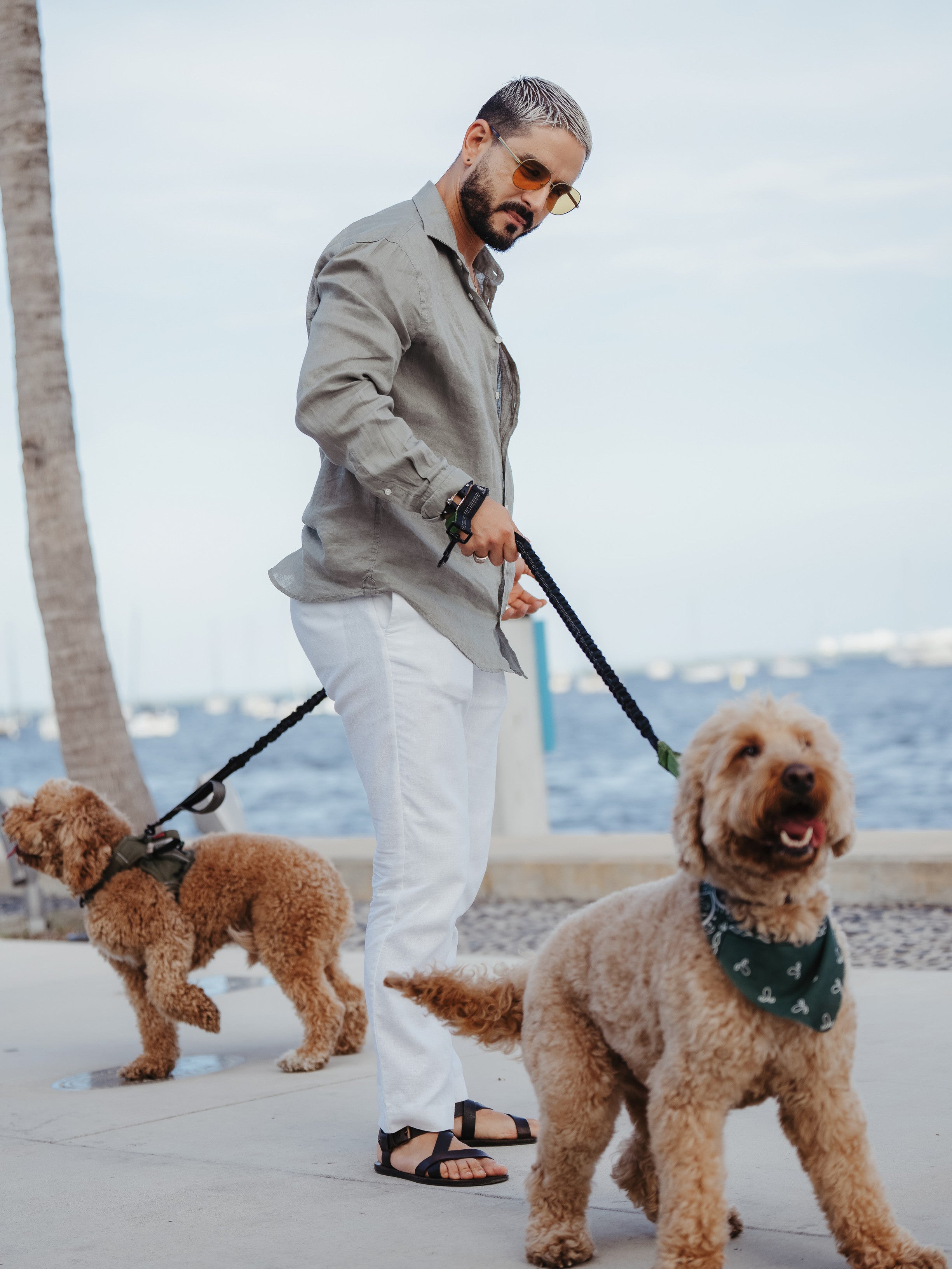 Coral Gables & Miami Jewelry Store | Cuervo y Sobrinos | Watch – Gables ...